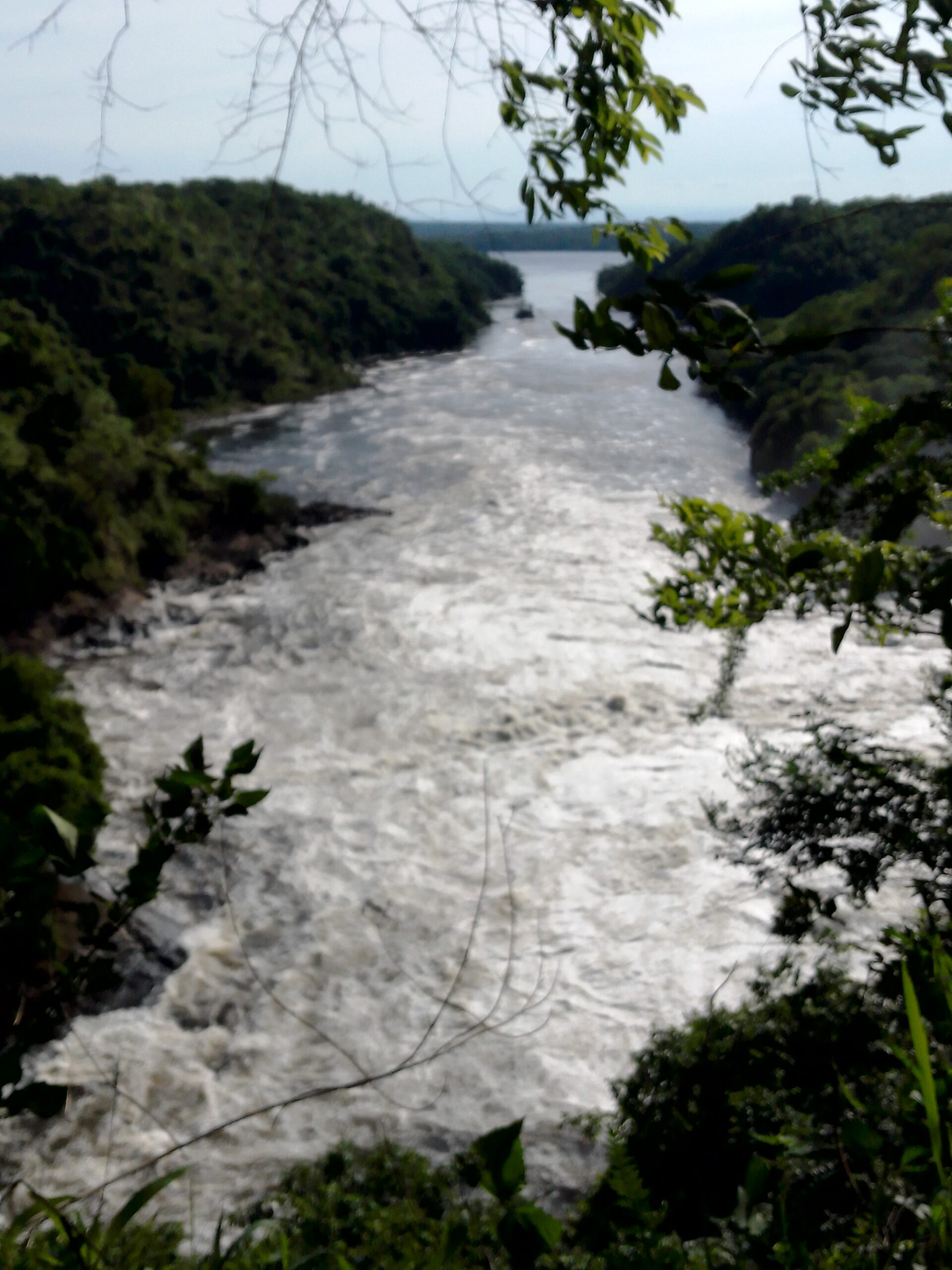 How River Nile has shaped tourism in Murchison Falls National Park ...