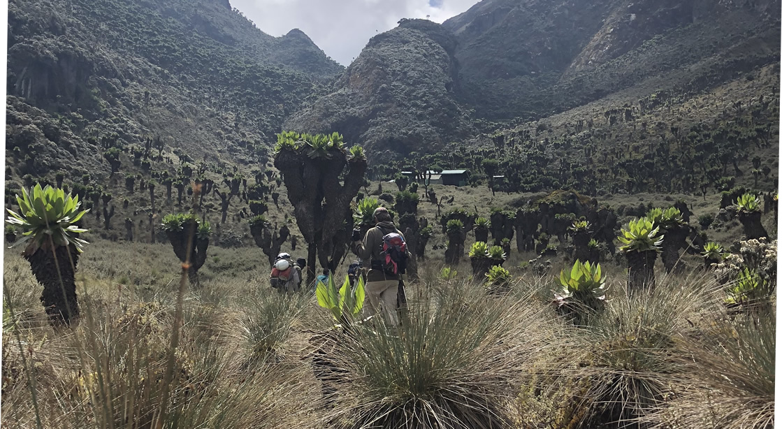 Rwenzori Mountains National Park | Rwanda Gorilla Tour