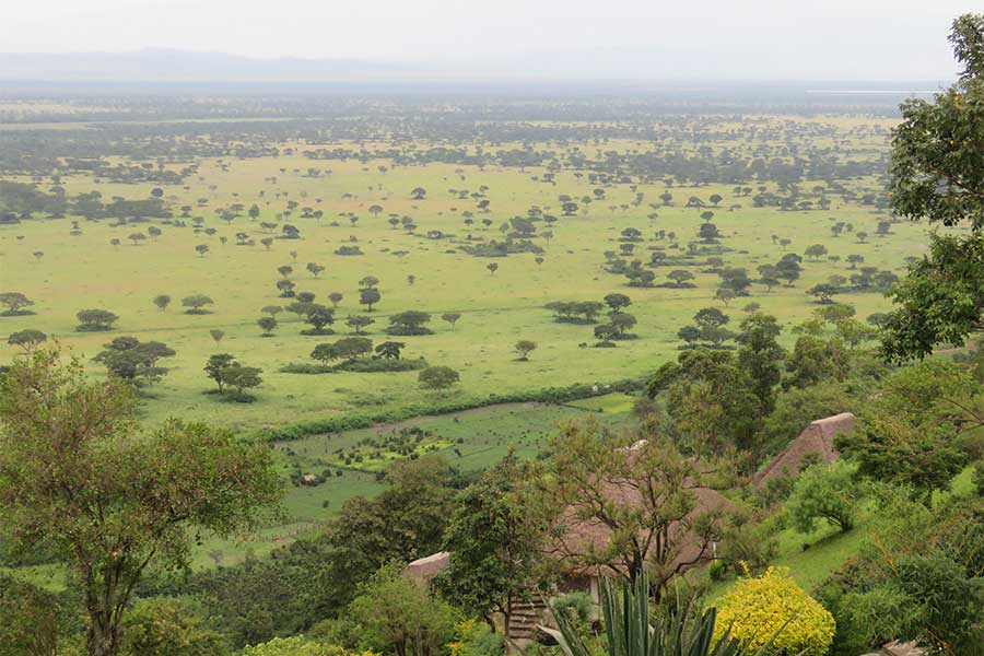 Queen Elizabeth national park | Rwanda Gorilla Tour