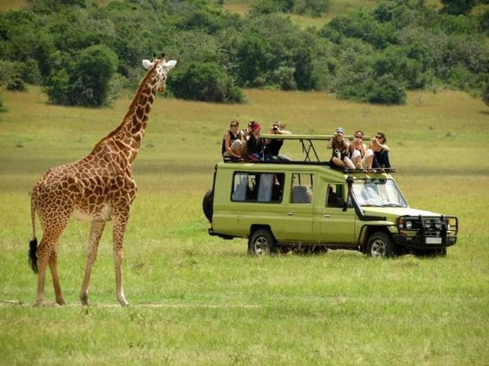 Queen Elizabeth national park | Rwanda Gorilla Tour